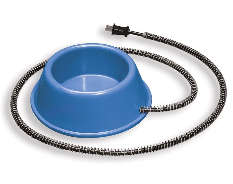 5 Best Heated Water Bowl for Cats in 2025 - Reviews & Top Picks - Catster