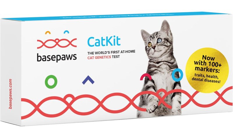 5 Best Cat DNA Tests of 2025 - Reviews & Top Picks - Catster
