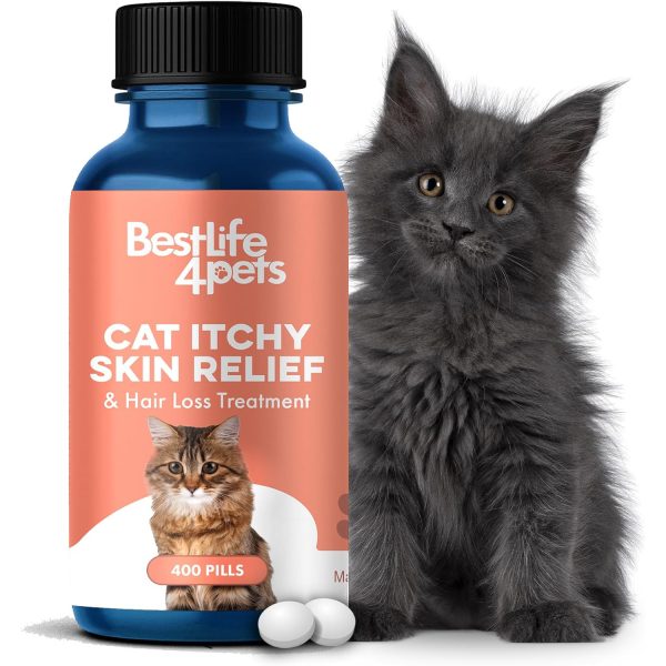 9 Best Medication for Cat Allergies (2025) - Reviews & Top Picks - Catster