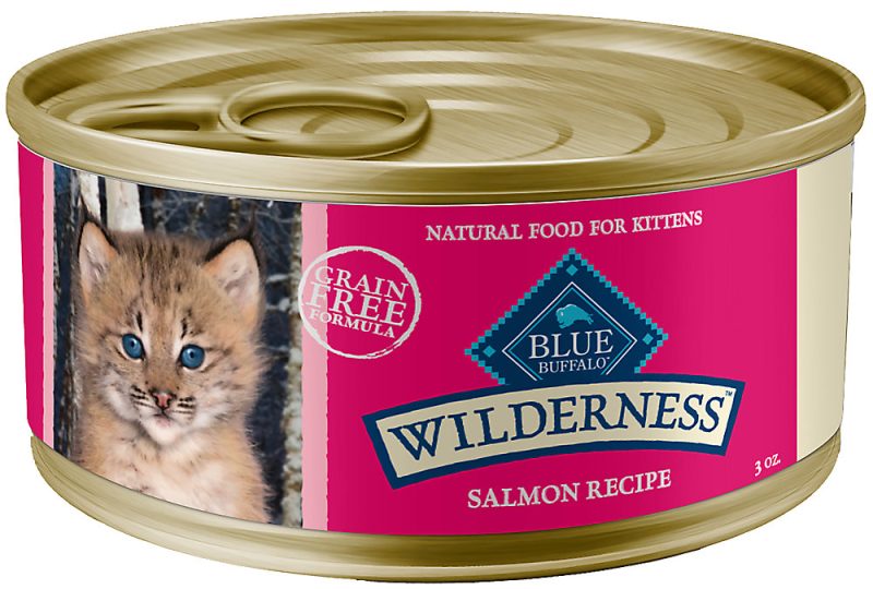 10 Best Cat Foods at PetSmart in 2026 - Reviews & Top Picks - Catster