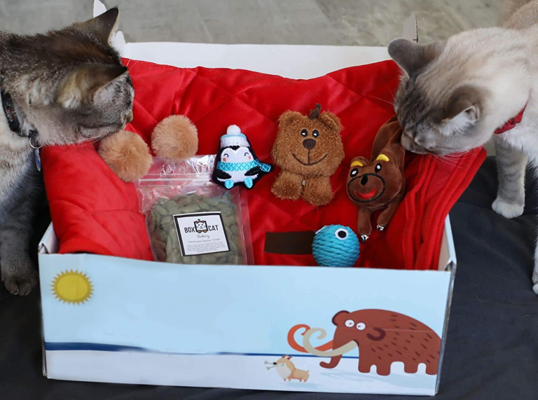10 Best Cat Subscription Boxes in 2026 - Reviews & Top Picks - Catster