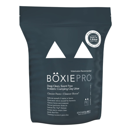 9 Best Cat Litters for Odor Control in Canada in 2025: Reviews & Top ...