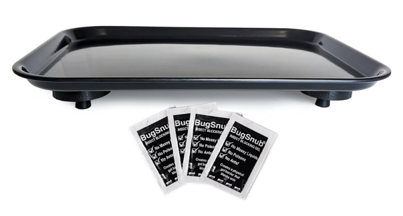 8 Best Ant-Proof Cat Bowls in 2026 - Reviews & Top Picks - Catster