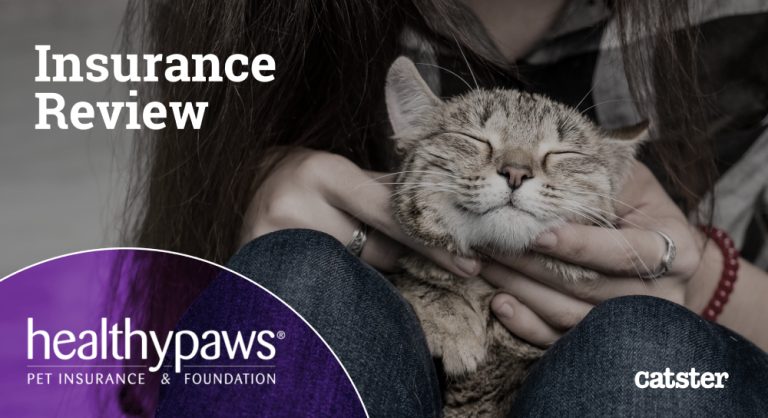 Healthy Paws Pet Insurance Review in 2025: Pros, Cons & Verdict - Catster
