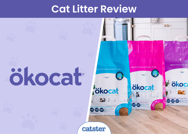Okocat Cat Litter Review of 2025: Recalls, Pros & Cons - Catster