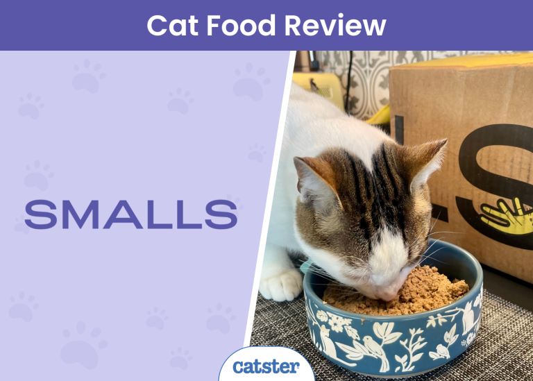 Smalls Cat Food Review 2026: Pros, Cons & Final Verdict - Catster