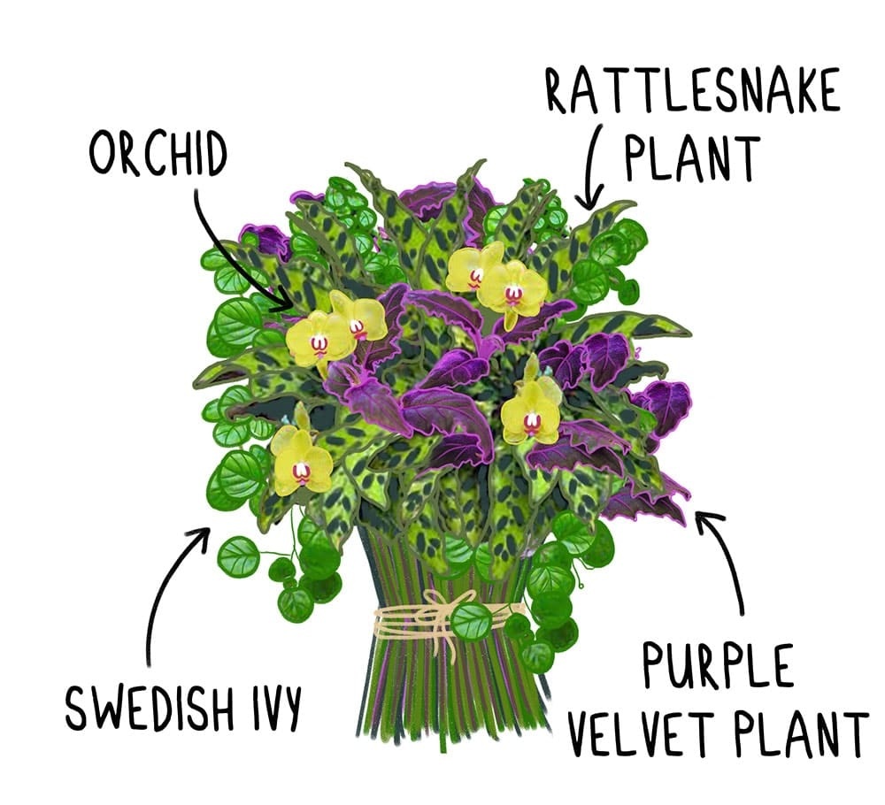 5 Vet-Verified Cat-Safe Bouquets: Cat-Friendly Flower Arrangements ...