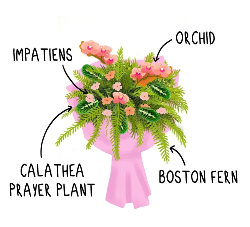 5 Vet-Verified Cat-Safe Bouquets: Cat-Friendly Flower Arrangements ...