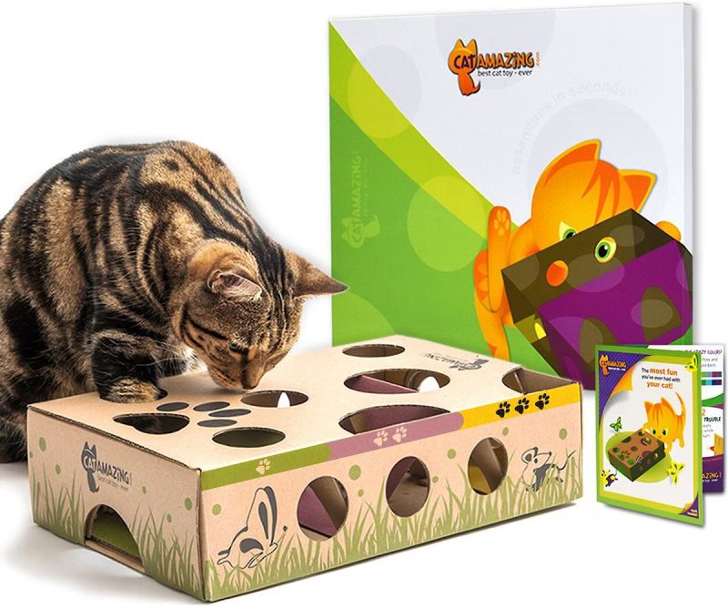 9 Best Interactive Cat Toys of 2026 - Reviews & Top Picks (Vet-Approved ...