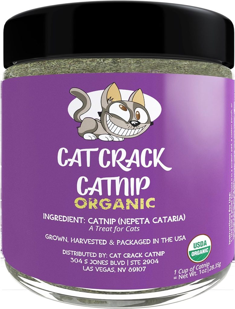 10 Best Organic Catnips in 2025 - Reviews & Top Picks - Catster