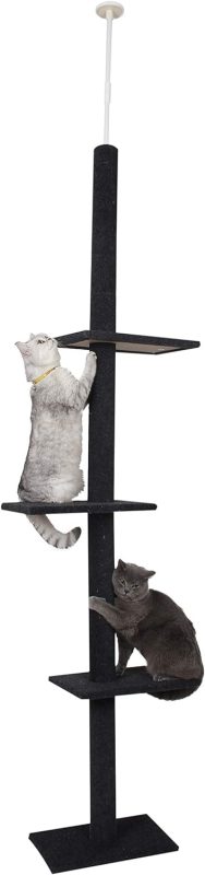 10 Best Cat Trees for Multiple Cats in 2024 - Reviews & Top Picks - Catster