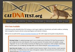 5 Best Cat DNA Tests of 2026 - Reviews & Top Picks - Catster