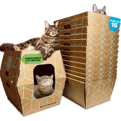 8 Best Disposable Litter Boxes in 2026 - Reviews & Top Picks - Catster