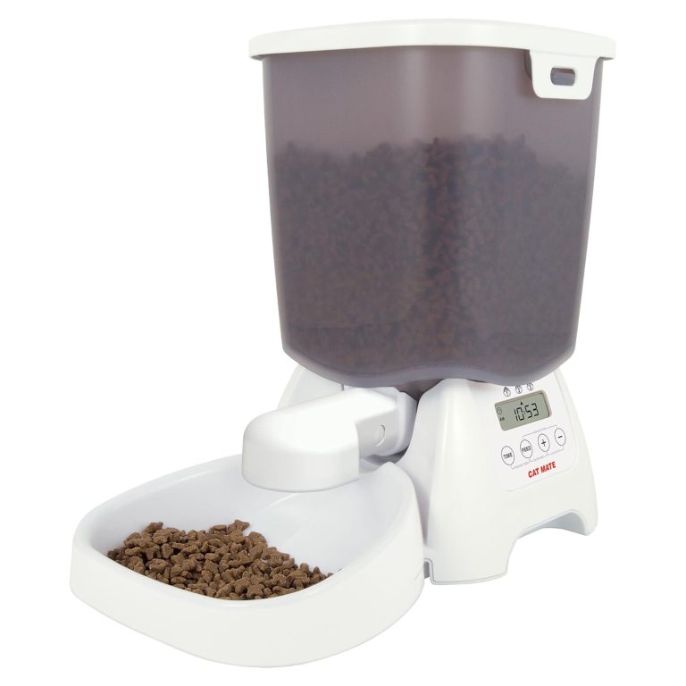 9 Best Outdoor Automatic Cat Feeders in 2025 - Reviews & Top Picks ...