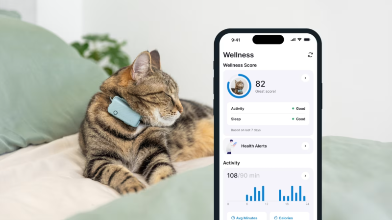 Tractive GPS Tracker for Cats Review in 2026: Our Expert’s Opinion ...