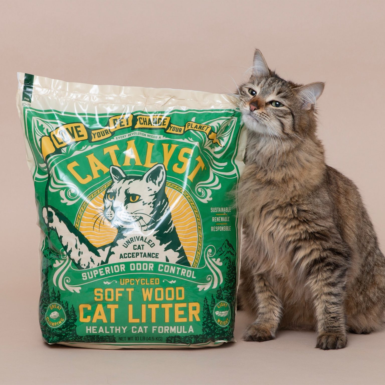 7 Best Cat Litter Subscriptions of 2025 - Reviews & Top Picks - Catster