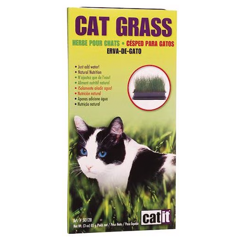 9 Best Cat Grass in 2025 - Reviews & Top Picks - Catster