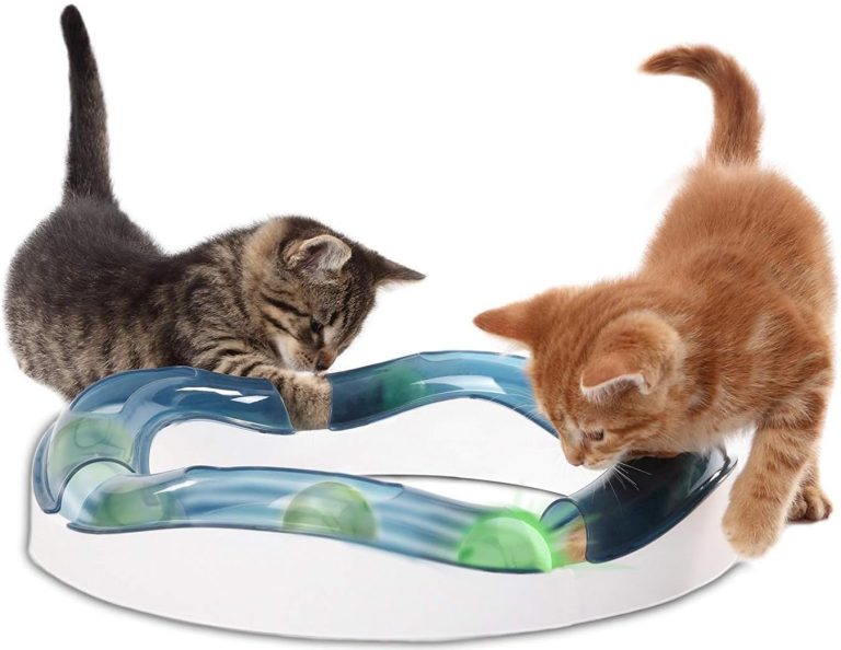 9 Best Interactive Cat Toys of 2025 - Reviews & Top Picks (Vet-Approved ...