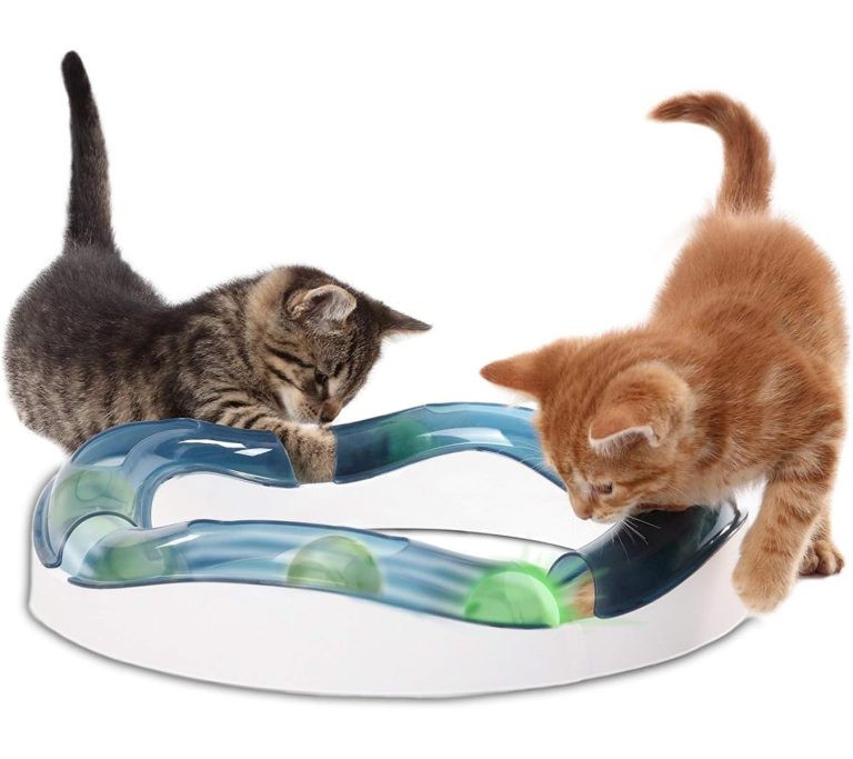15 Best Kitten Toys of 2026 - Reviews & Top Picks - Catster