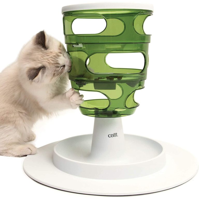 10 Best Slow Feed Cat Bowls in 2026: Reviews & Top Picks - Catster