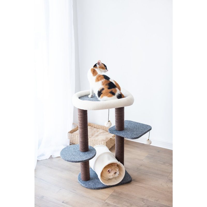 10 Best Cat Trees for Older Cats in 2024 - Reviews & Top Picks - Catster