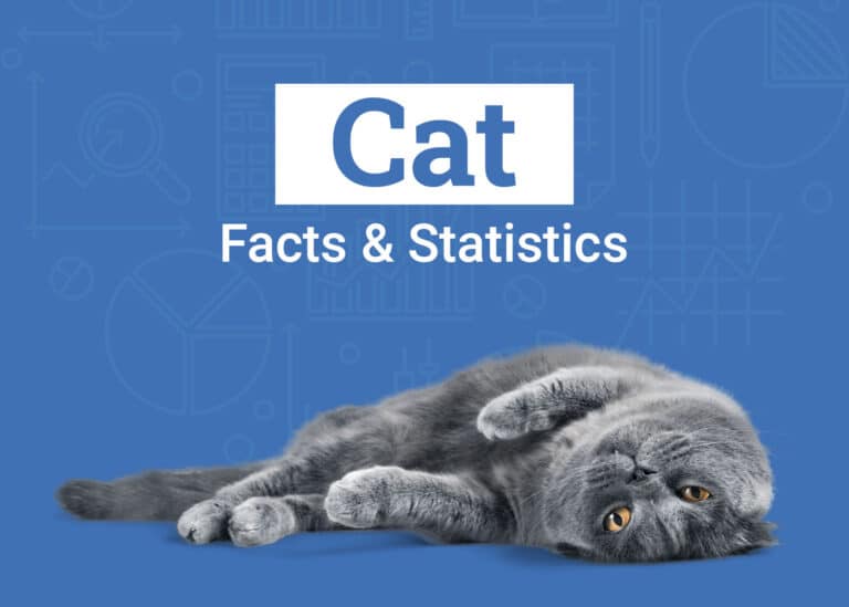 15 Cat Statistics & Facts All Cat Lovers Should Know (Vet-Verified 2025 ...