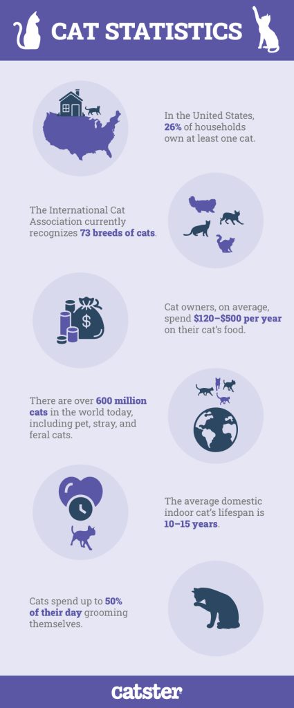15 Cat Statistics & Facts All Cat Lovers Should Know (Vet-Verified 2025 ...
