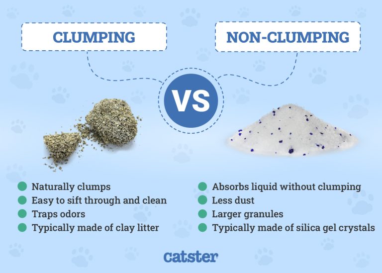 Clumping vs. Non-Clumping Cat Litter: Vet-Reviewed Pros, Cons & Which ...