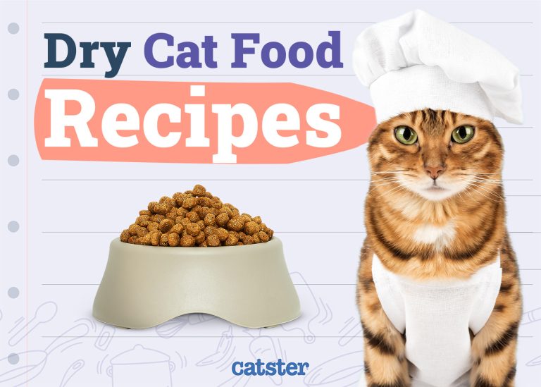 10 Best Cat Foods at PetSmart in 2025 - Reviews & Top Picks - Catster