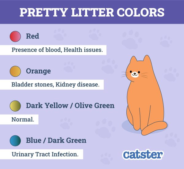 What Do the PrettyLitter Colors Mean? Explanation with Color Chart ...