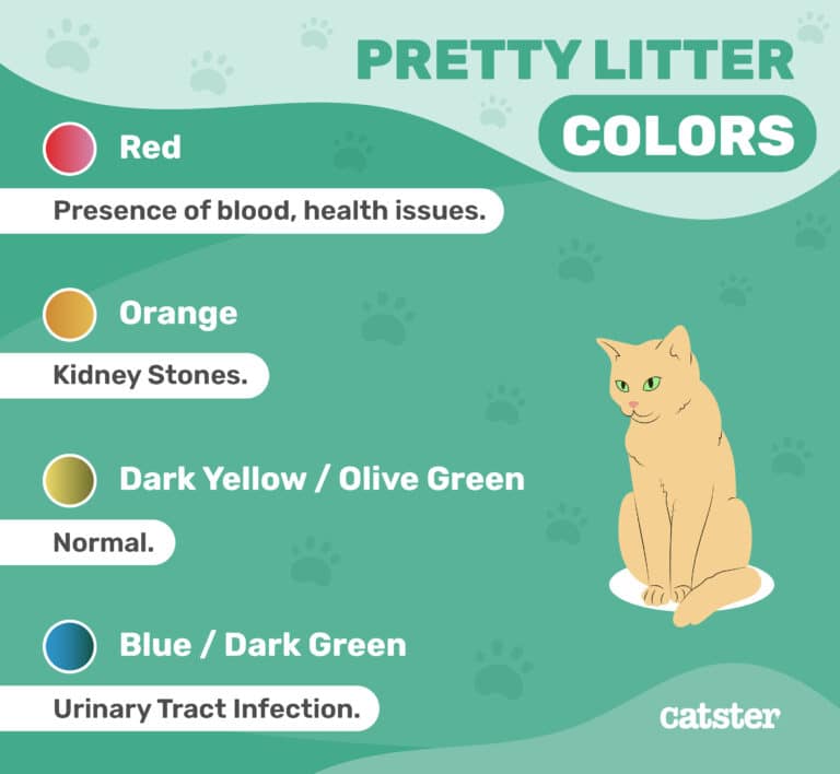What Do the PrettyLitter Colors Mean? Explanation with Color Chart ...