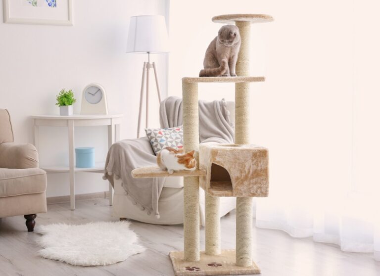 10 Best Cat Trees for Multiple Cats in 2026 - Reviews & Top Picks - Catster