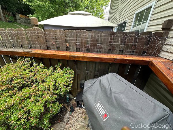 15 Free DIY Catio Plans That Are Perfect For the Outdoors (With ...
