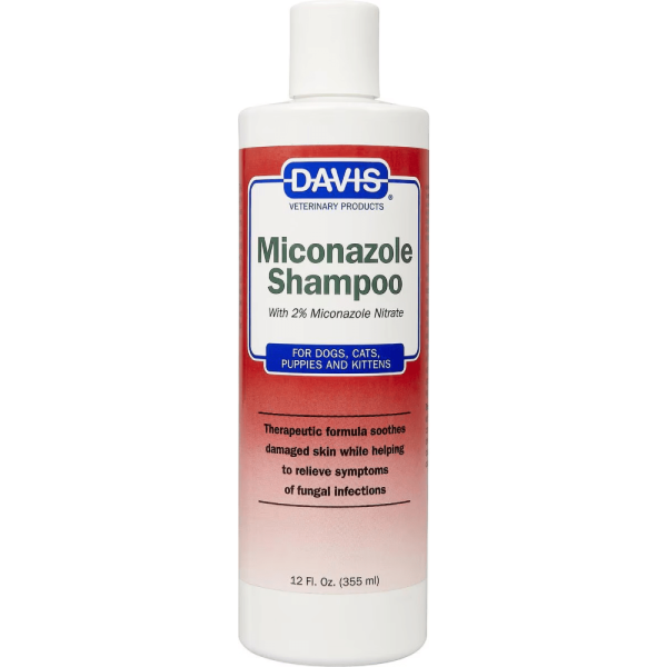 10 Best Ringworm Shampoos for Cats in 2026: Reviews & Top Picks - Catster