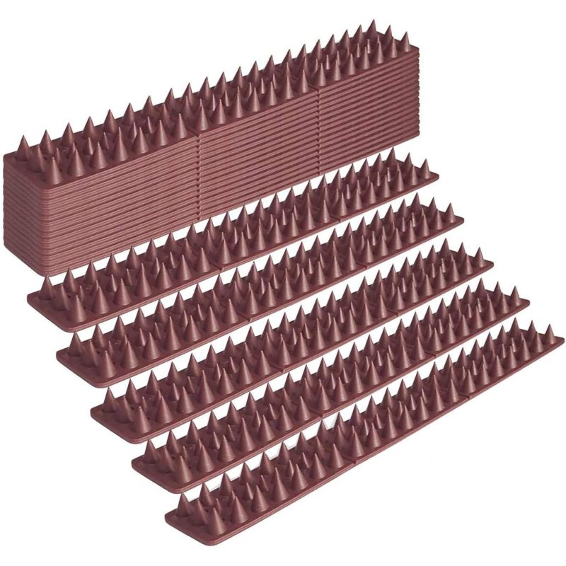 9 Best Outdoor Cat Repellents in 2025 - Reviews & Top Picks - Catster