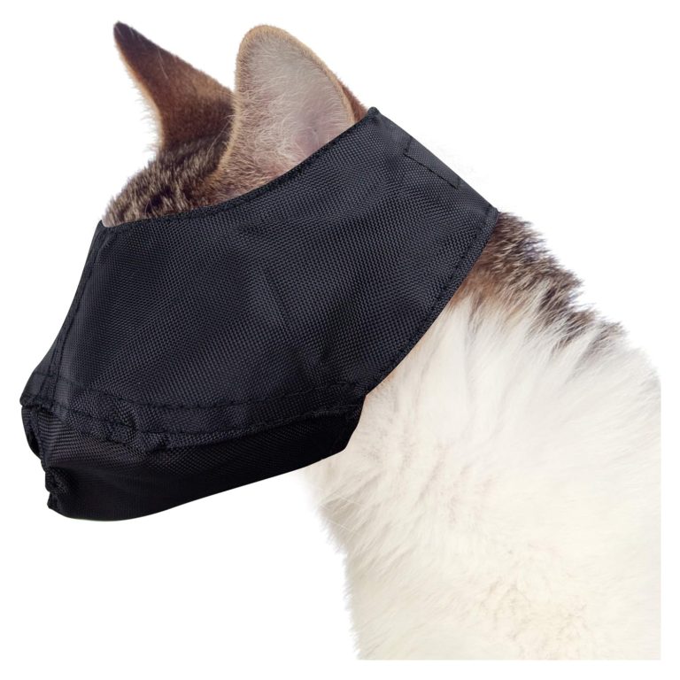 7 Best Cat Muzzles in 2026 – Reviews & Tops Picks - Catster