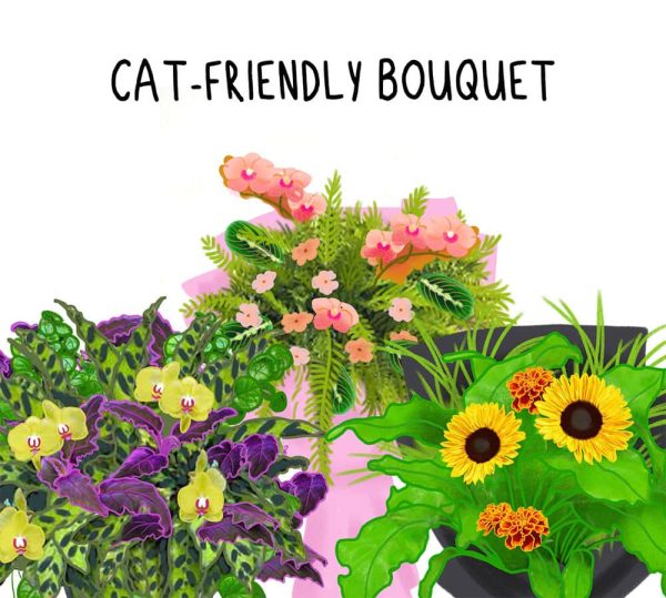 5 Vet-Verified Cat-Safe Bouquets: Cat-Friendly Flower Arrangements ...