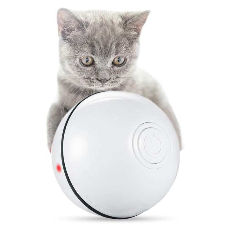 8 Best Motorized Cat Toys (2025) – Reviews & Top Picks - Catster