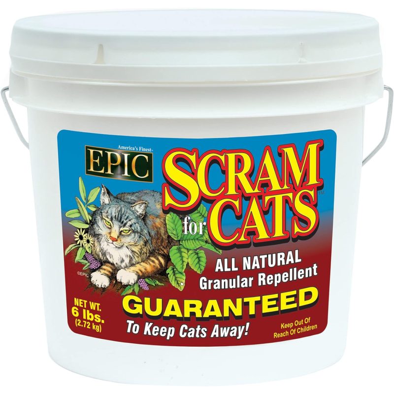 8 Best Outdoor Cat Repellents in 2026 - Reviews & Top Picks - Catster
