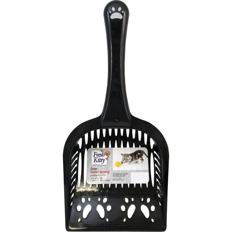 10 Best Cat Litter Scoops of 2026 - Reviews & Top Picks - Catster