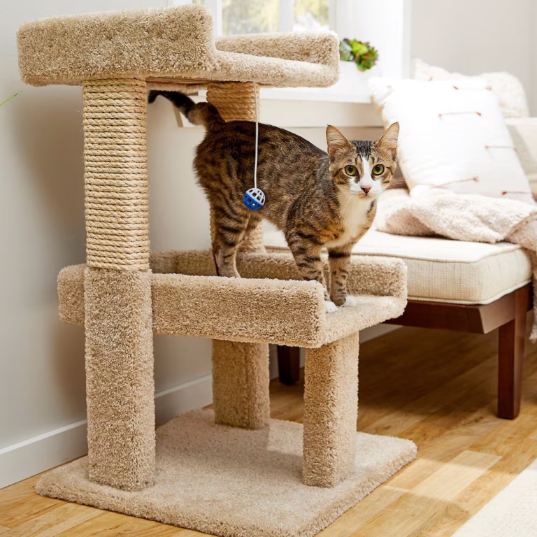 10 Best Eco-Friendly Cat Trees in 2026 — Reviews & Top Picks - Catster