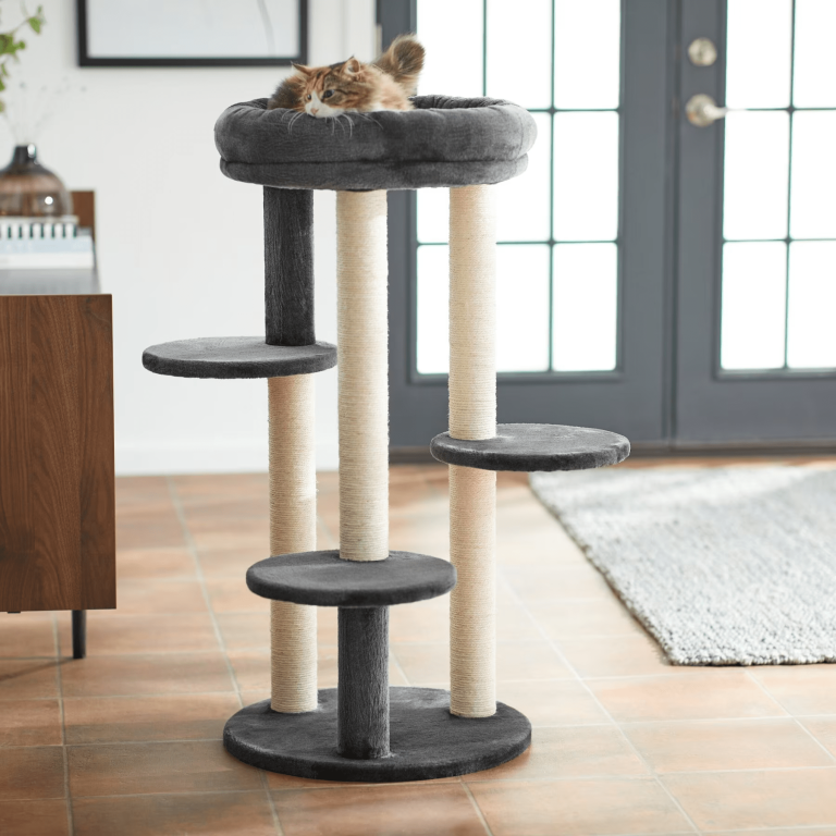 7 Best Cat Trees for Maine Coons in 2025 - Reviews & Top Picks - Catster