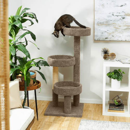 7 Best Cat Trees for Maine Coons in 2025 - Reviews & Top Picks - Catster