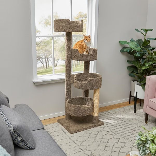 12 Best Cat Trees for Large Cats in 2026 - Reviews & Top Picks - Catster