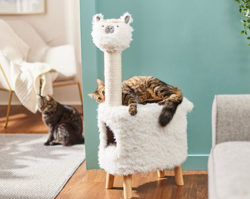 9 Types of Cat Toys & How to Use Them (With Pictures) - Catster