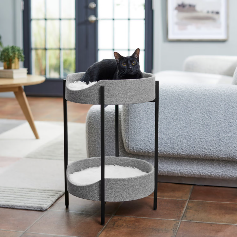 7 Best Designer Cat Beds of 2025 - Reviews & Top Picks - Catster