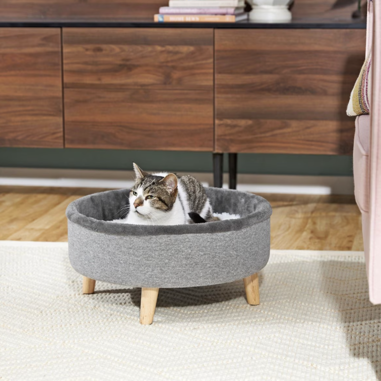 10 Best Cat Beds to Put on a Desk in 2025 - Reviews & Top Picks - Catster