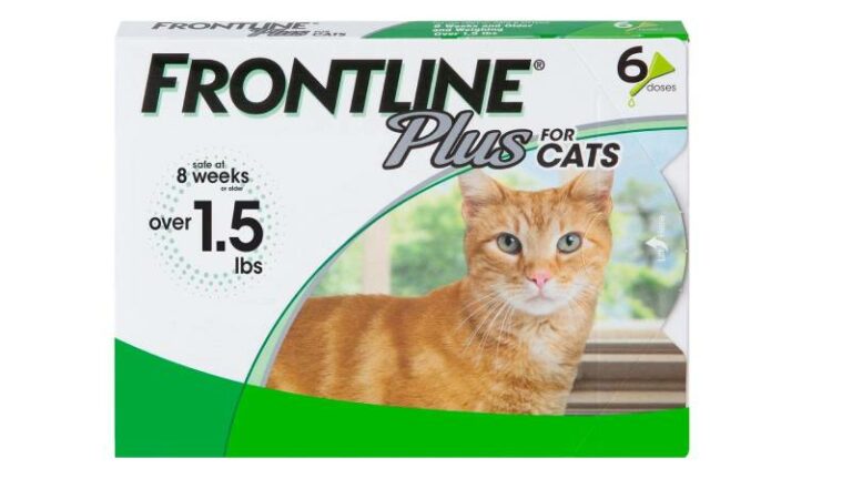 How Does Frontline Work on Cats? Vet Reviewed Facts & FAQ - Catster