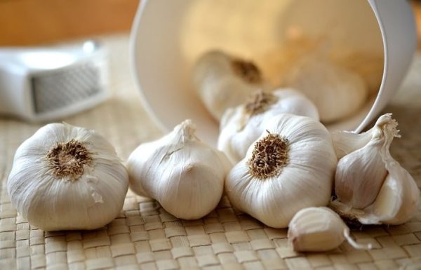 Does Garlic Kill Fleas On Cats? Vet Reviewed Effectiveness Safety ...