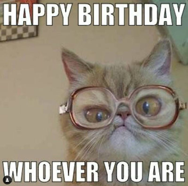 38 Happy Birthday Cat Memes - Funny Jokes to Celebrate - Catster
